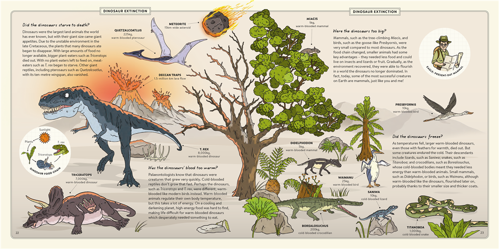 Explore 12 Dinosaur extinction: theory handout | eduu.school