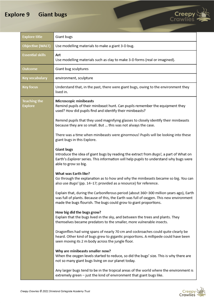 Explore 9 Giant bugs: teacher's notes | eduu.school